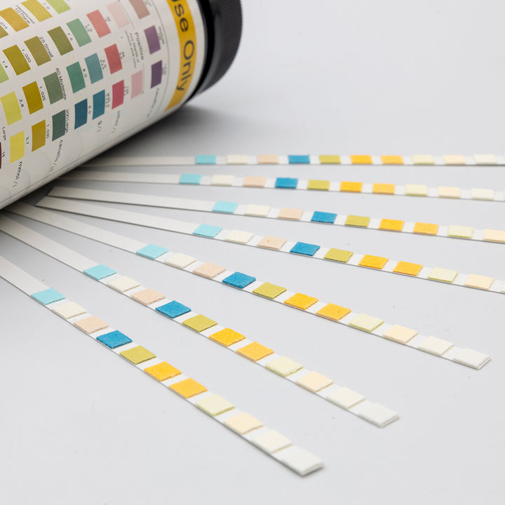 Handheld Portable Urine Analyzer Machine – Cn-Meditech